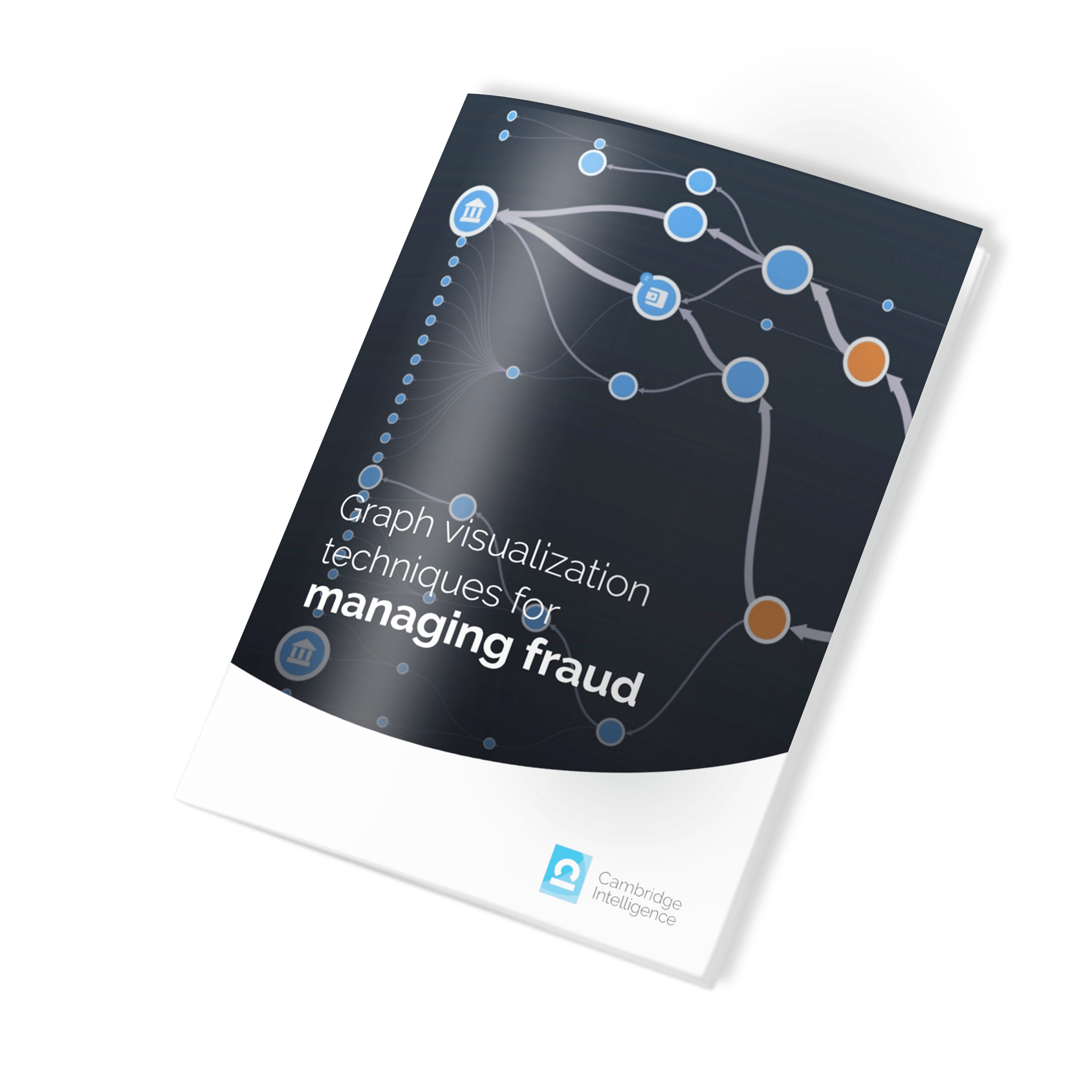 How to detect fraud with data visualization