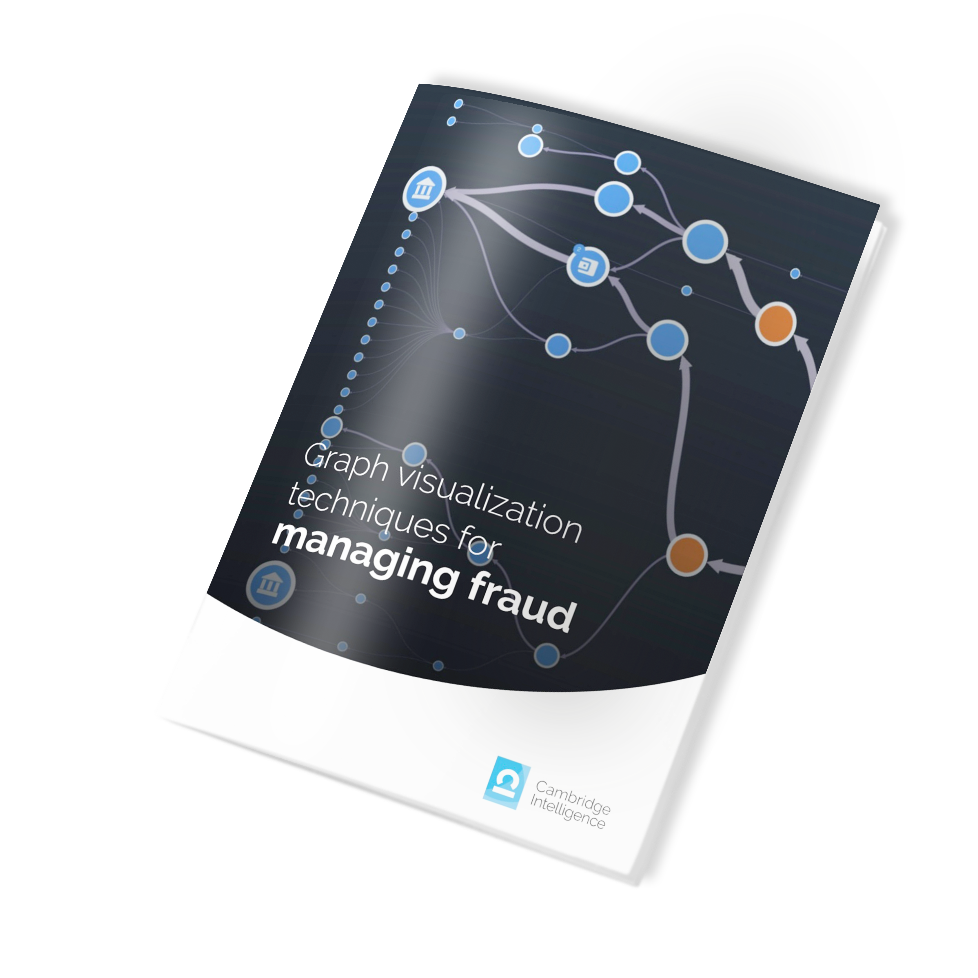How to detect fraud with data visualization