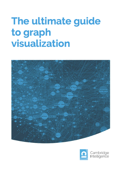 The Ultimate Guide To Graph Visualization
