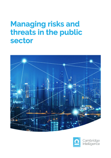 Link analysis and timeline visualization for public sector